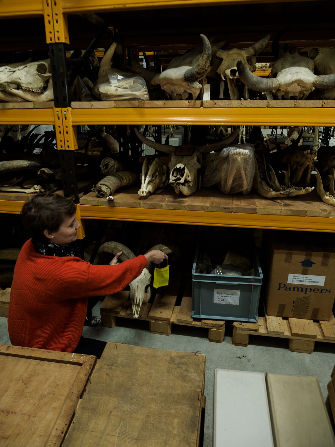 About – Nicole Ackermans, CVN lab