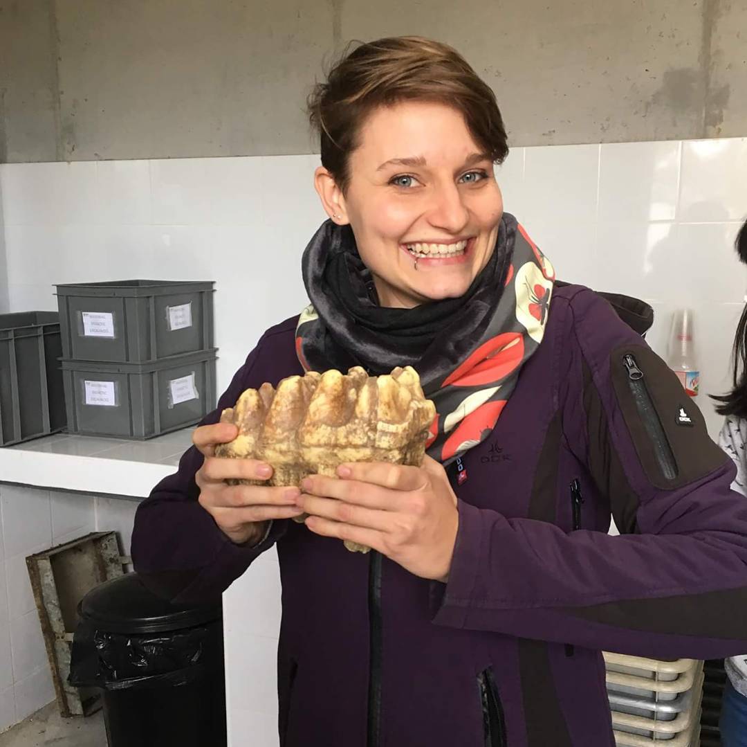 Contact – Nicole Ackermans, CVN lab