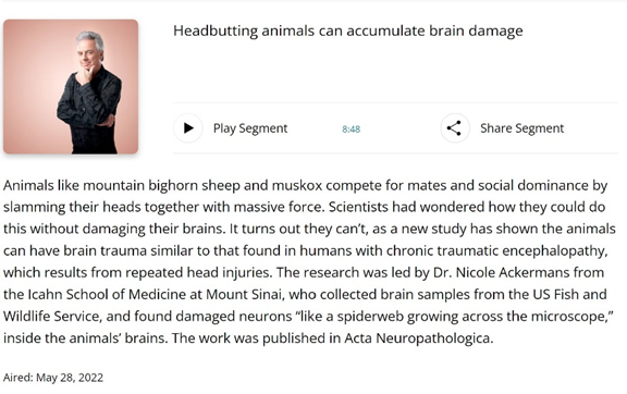 Press & Media – Nicole Ackermans, CVN lab