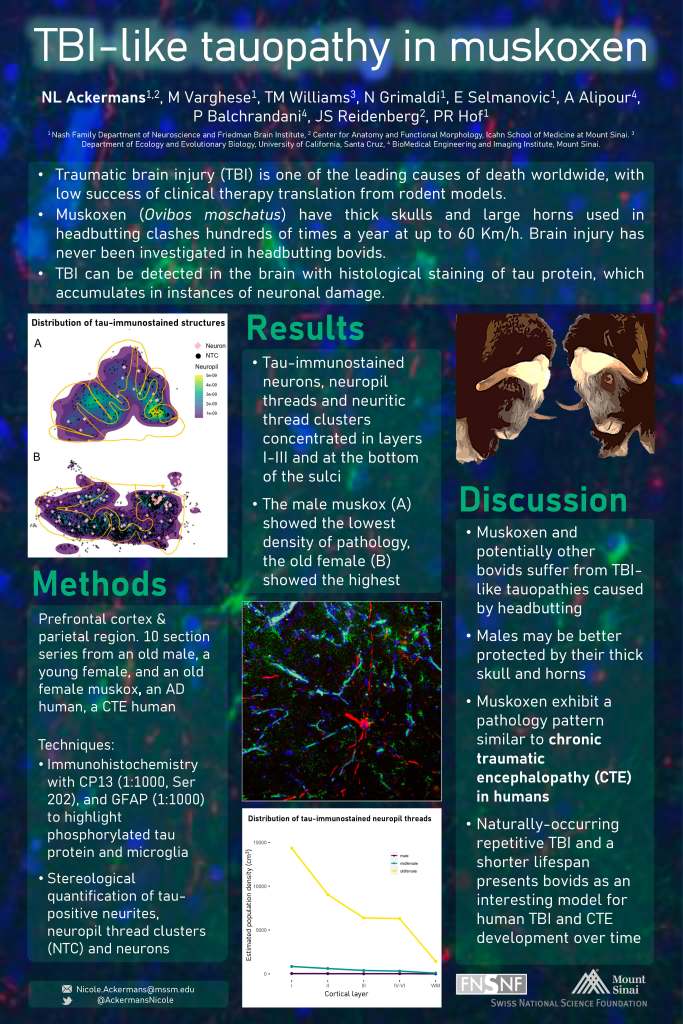 Research – Nicole Ackermans, CVN lab