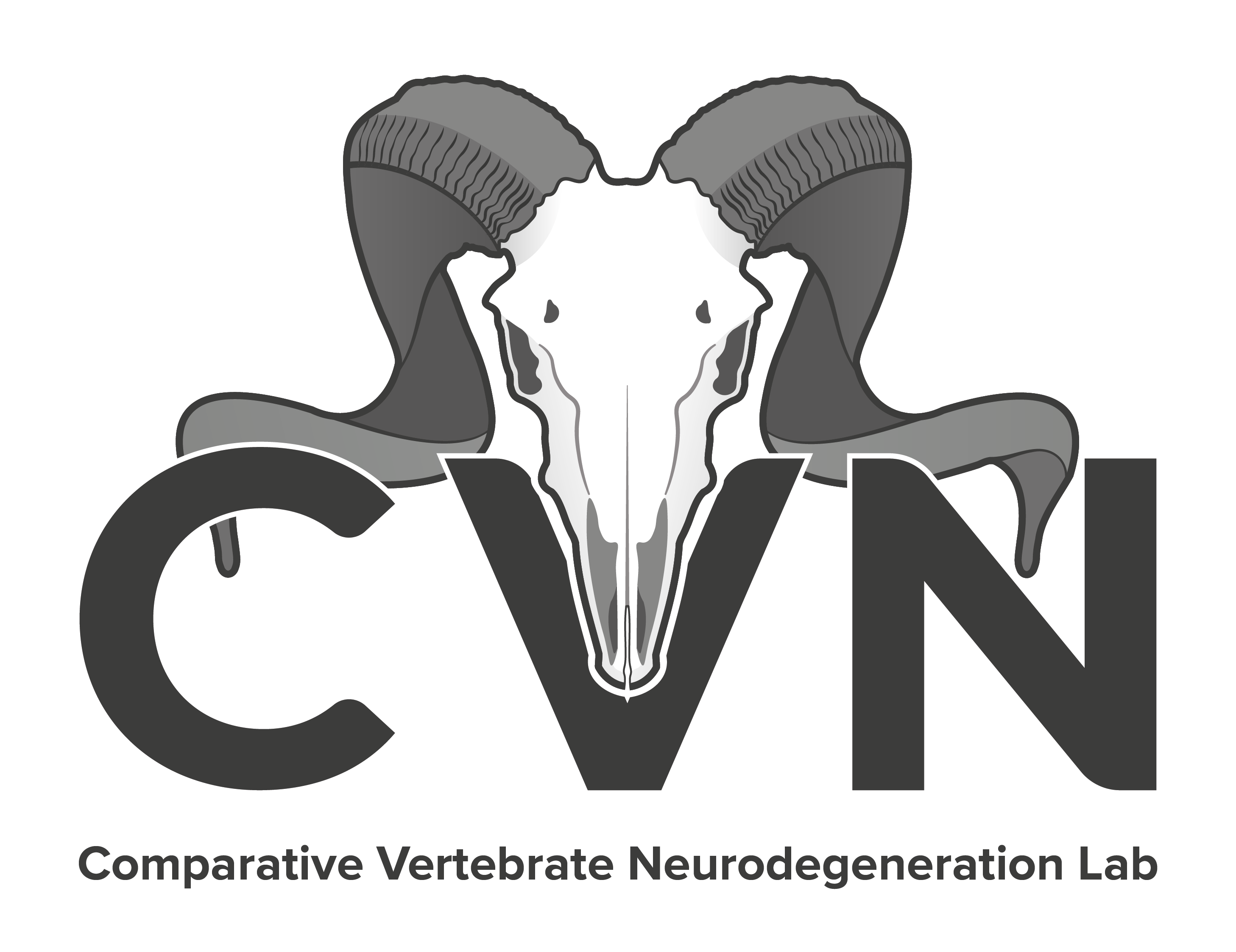 About – Nicole Ackermans, CVN lab
