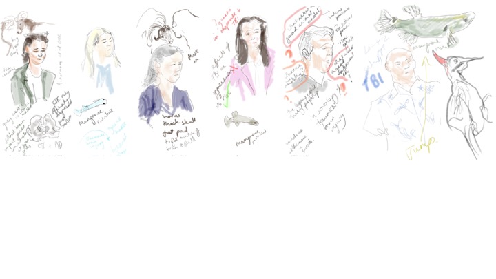 CVN lab goes to ICVM – Nicole Ackermans, CVN lab