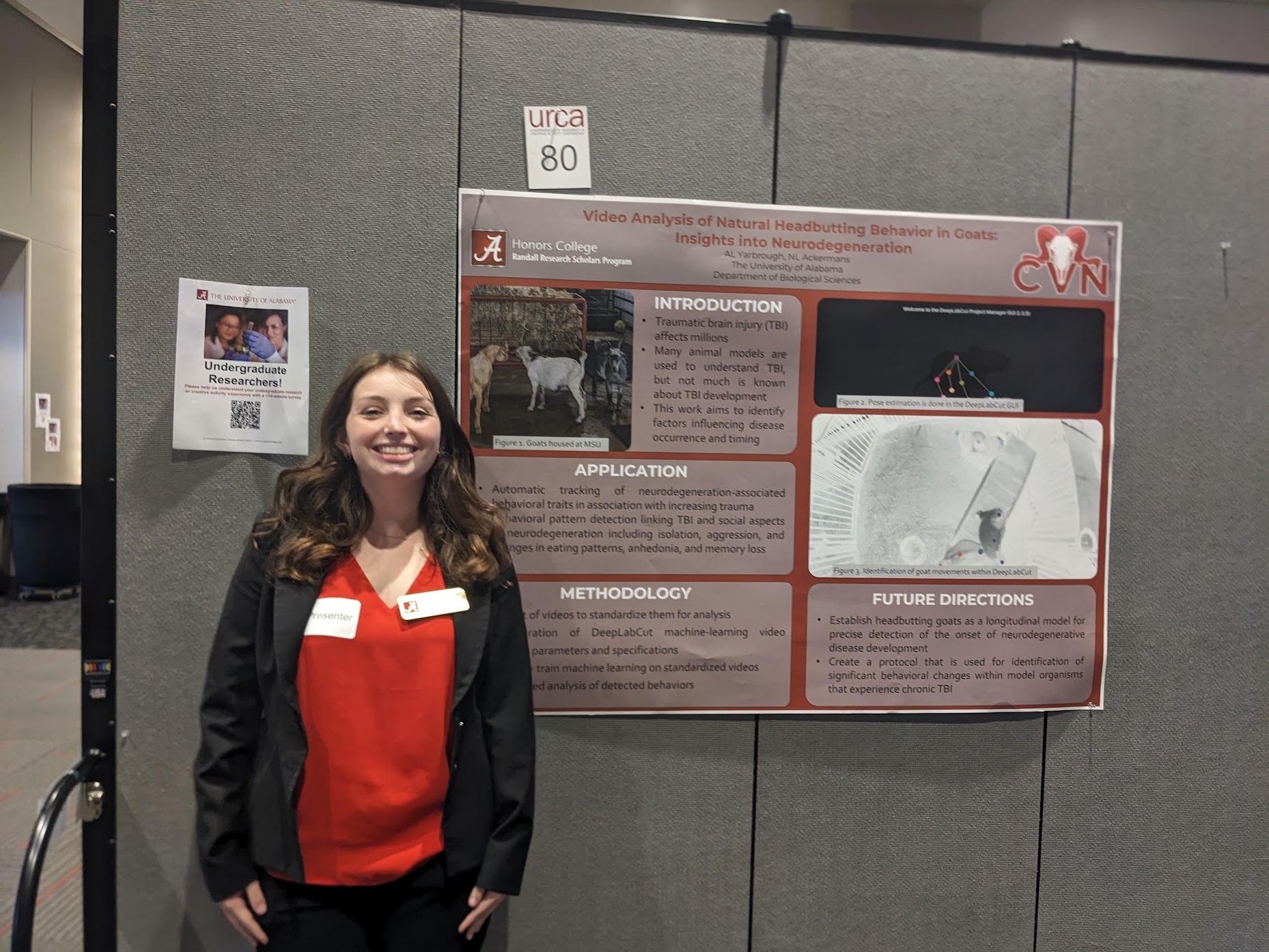 CVN posters at URCA 2024 – Nicole Ackermans, CVN lab
