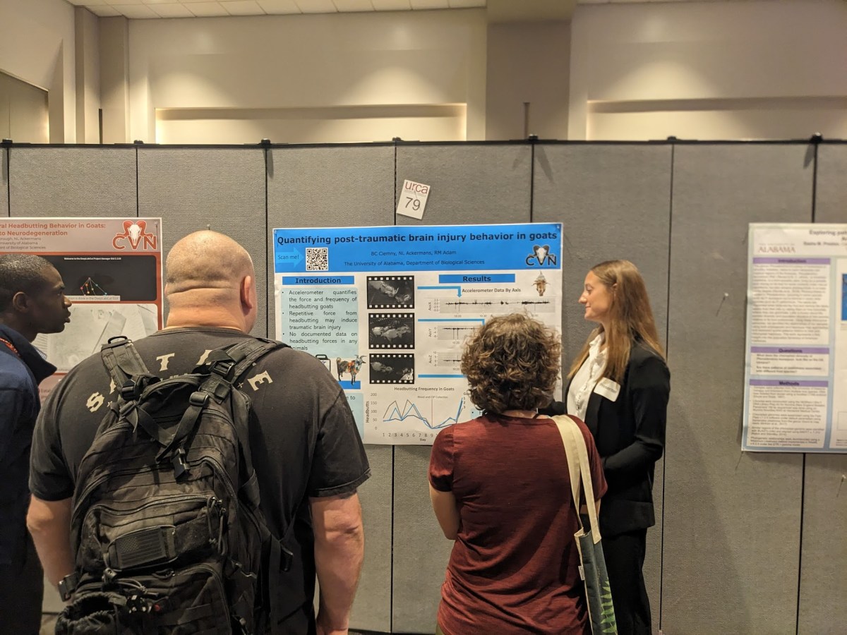 CVN posters at URCA 2024 – Nicole Ackermans, CVN lab