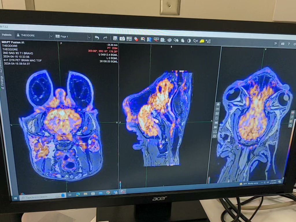 Research – Nicole Ackermans, CVN lab