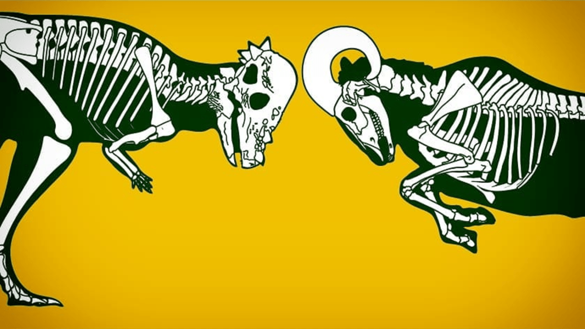 New paper on dinosaur headbutting! – Nicole Ackermans, CVN lab