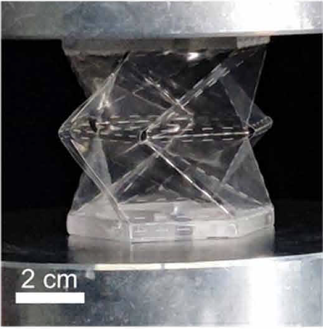 Biodegradable robots – Nicole Ackermans, CVN lab