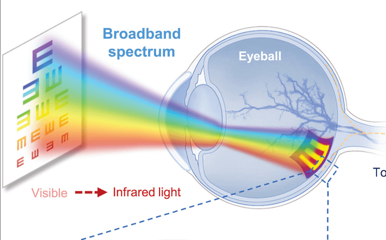 SciComm blog & lab updates – Nicole Ackermans, CVN lab