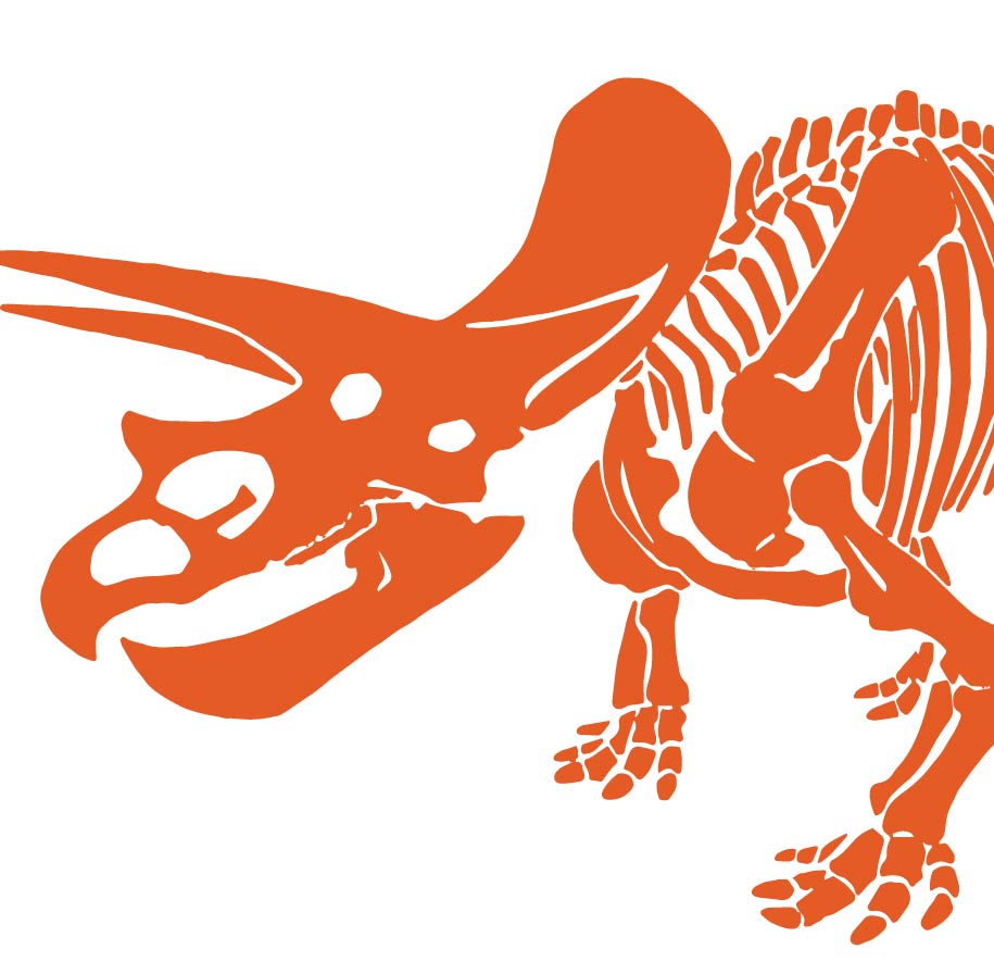 Bone Drones – Nicole Ackermans, CVN lab